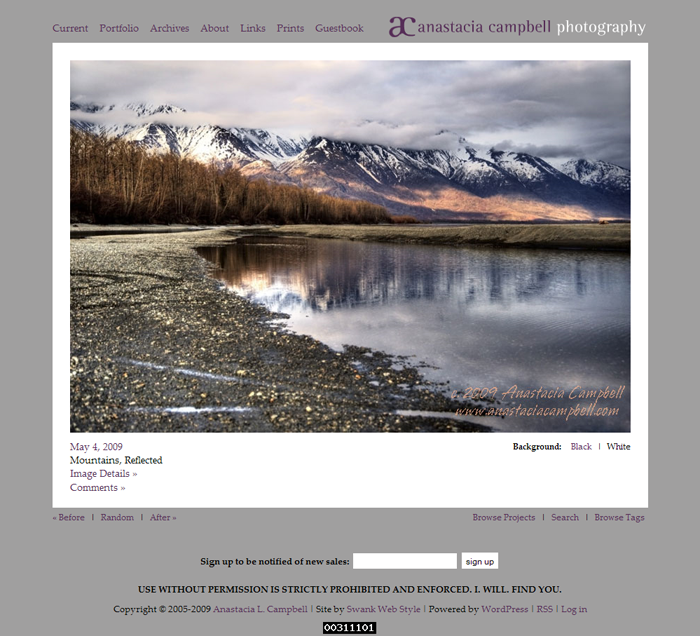 Website Design for Romance Author Beth Williamson - Swank Web Design